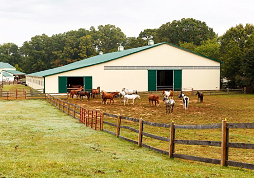 Have a dream? Dream Building will make it come true! | News, Sports ...